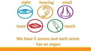 Ns3 unit 4 the nervous system | PPT