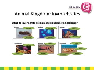 Ns4 presentation-u1 | PPTX