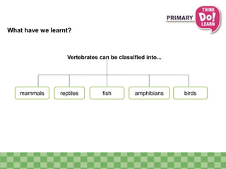 Unit 2 - The classification of living things | PPTX