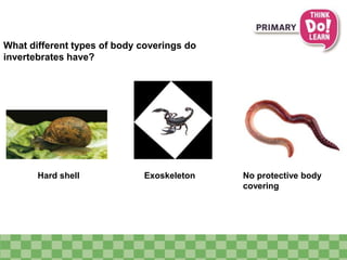 Natural Science Unit 2 presentation | PPT