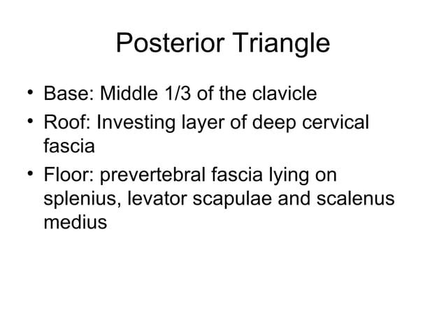 Ns6 Posterior Triangle Of Neck | PPT