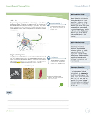 NS_6to_NPATHWAY_Teachers_guide_5 ENERO (1).pdf