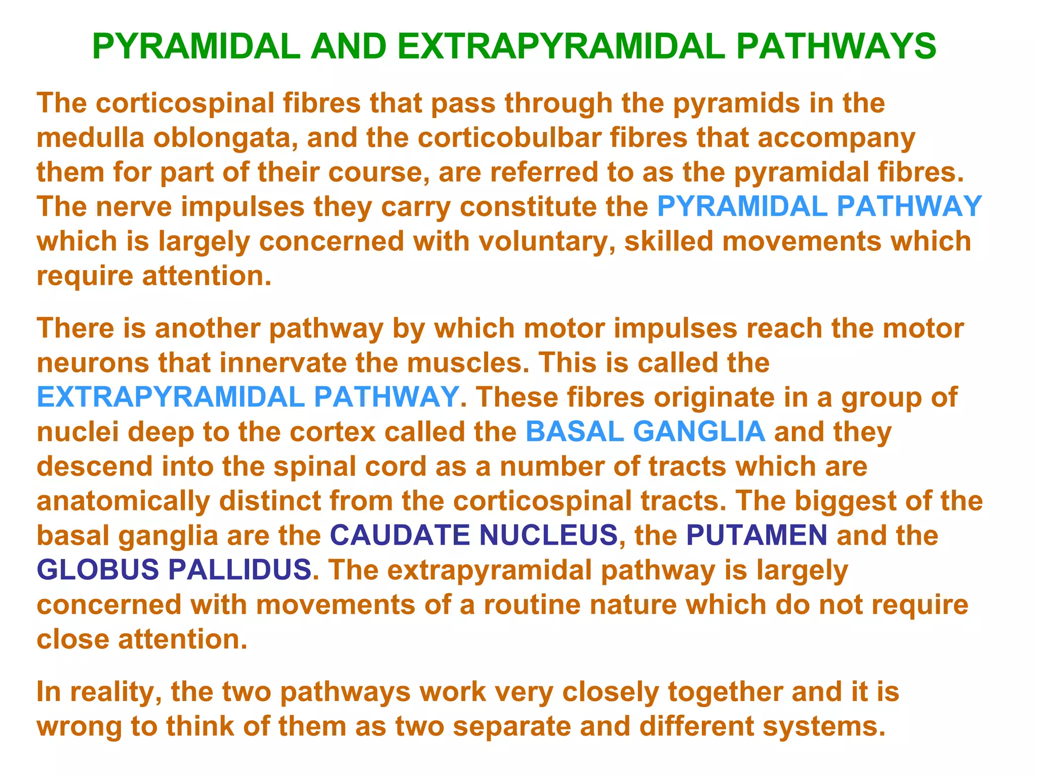 Ns9. Motor Pathways. Compressed File | PPT