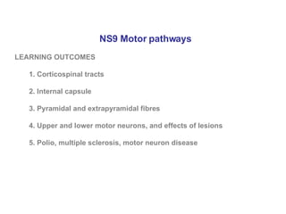 Ns9. Motor Pathways. Compressed File | PPT