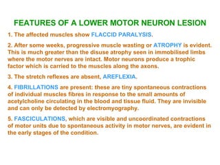 Ns9. Motor Pathways. Compressed File | PPT