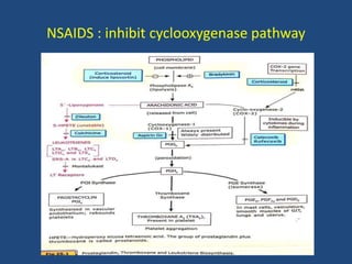 Non Steroidal Anti-inflammatory drugs | PPTX