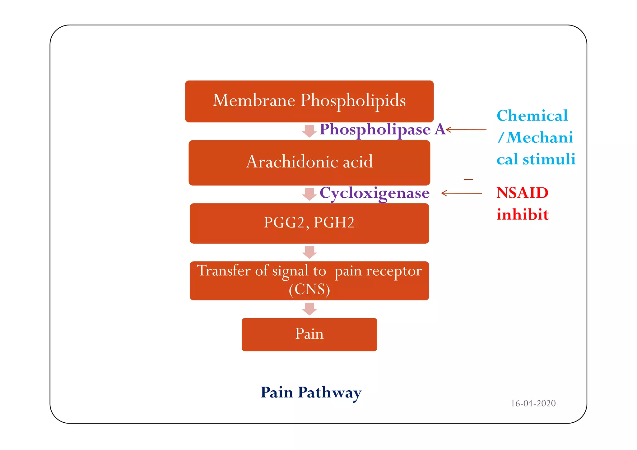 Non-Steroidal Anti-inflammatory Drugs (NSAID)-Medicinal Chemistry | PDF