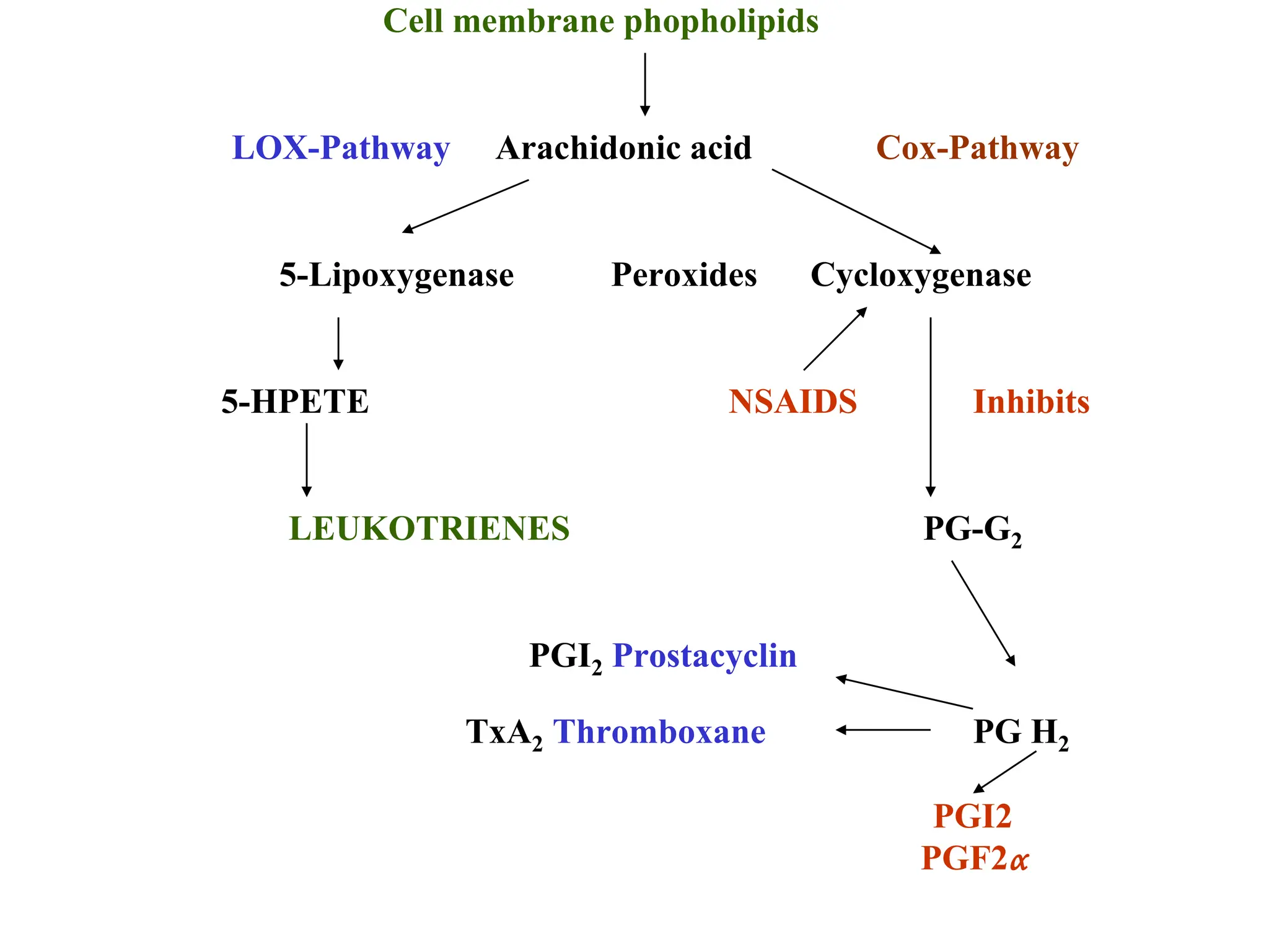 NSAID-LECTURE Non steroidal anti-inflammatory drugs | PDF