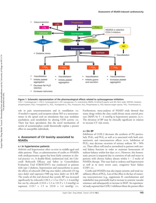 Nsaid cardiotoxicity 1 | PDF