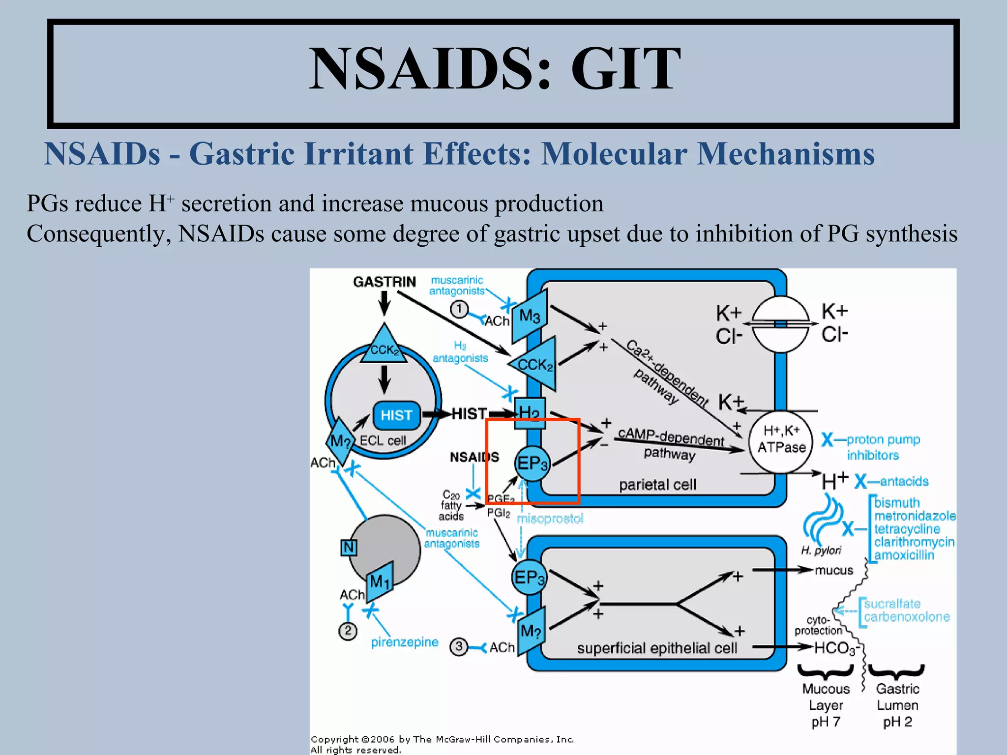 The organs damages as side effects of NSAIDs | PPT