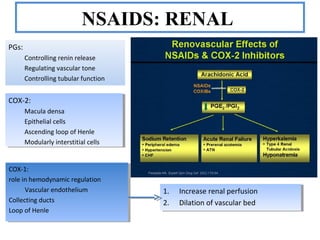 The organs damages as side effects of NSAIDs | PPT