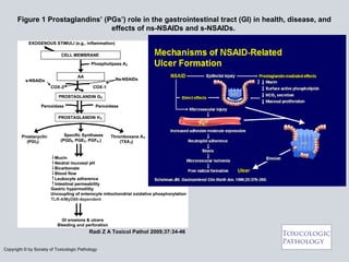 The organs damages as side effects of NSAIDs | PPT