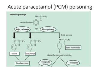 NSAIDS | PPTX