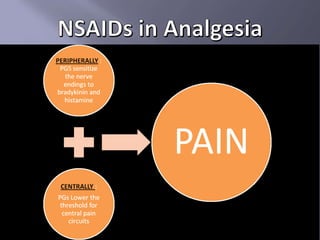 NSAIDs Pathophysiology | PPTX