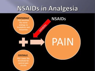 NSAIDs Pathophysiology | PPTX | Blood Disorders | Diseases and Conditions