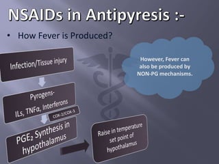 NSAIDs Pathophysiology | PPTX | Blood Disorders | Diseases and Conditions