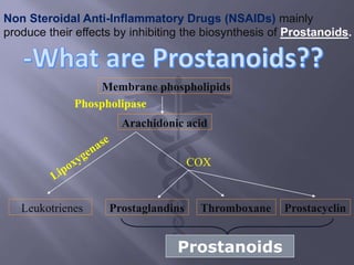 NSAIDs Pathophysiology | PPTX