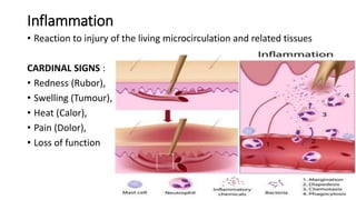 Non Steroidal Anti Inflammatory Drugs | PPTX