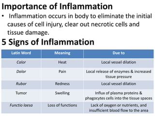 NonSteroidal Anti-Inflammatory Drugs (NSAIDs) | PPTX