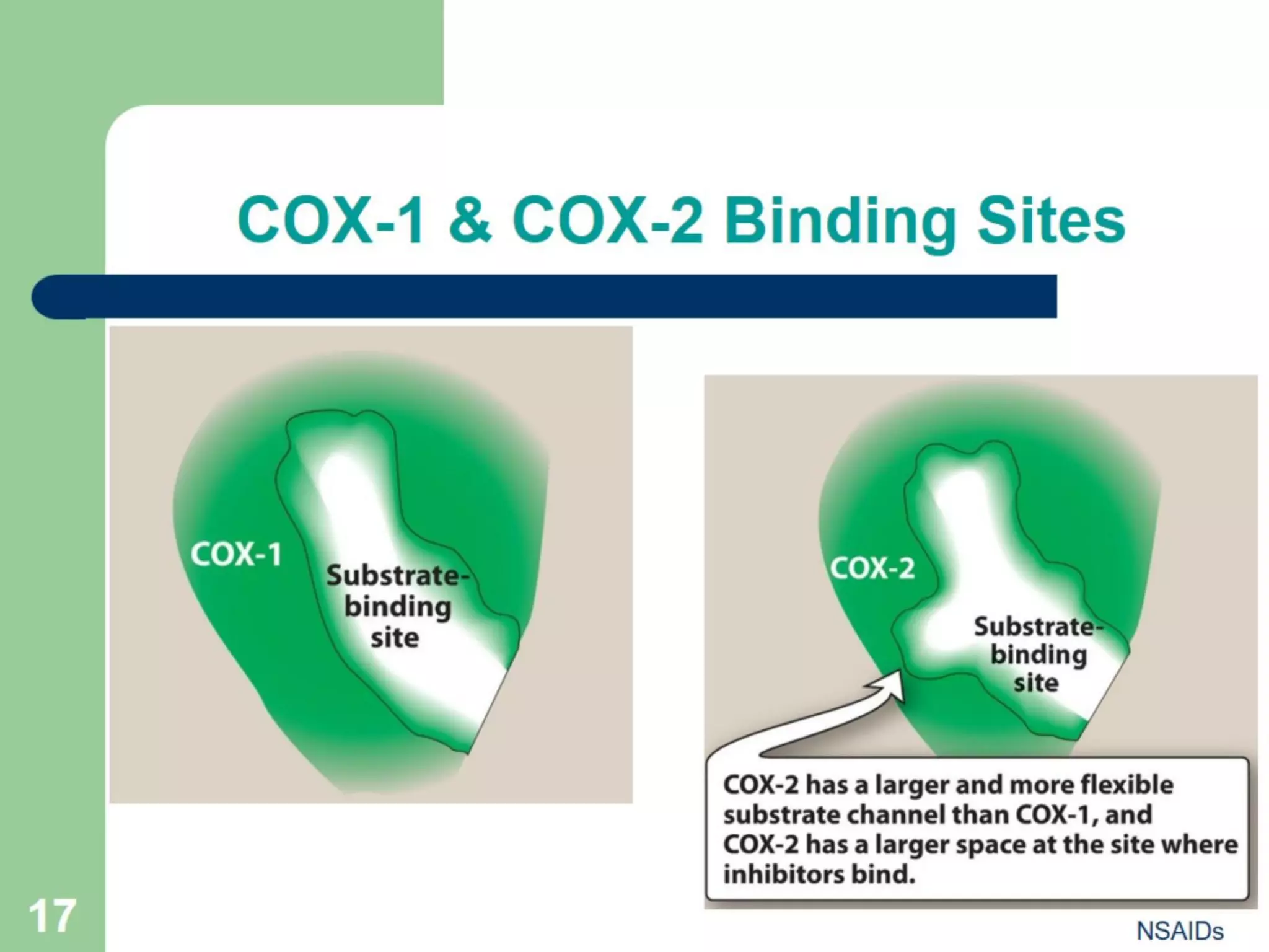 NSAIDs {Anti- Pyretic, Anti-inflammatory, and Analgesic} Pharmacology | PDF