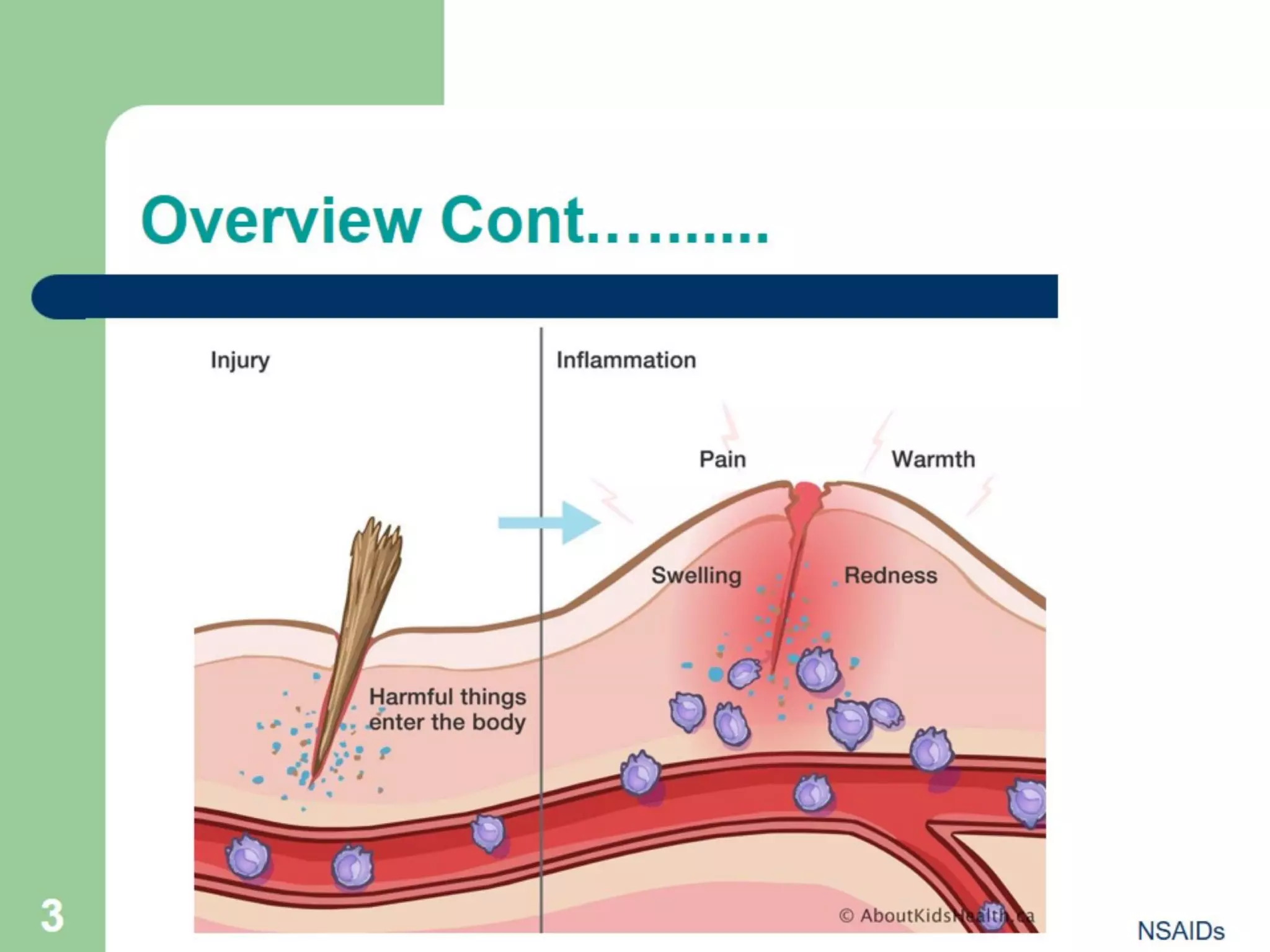 NSAIDs {Anti- Pyretic, Anti-inflammatory, and Analgesic} Pharmacology | PDF