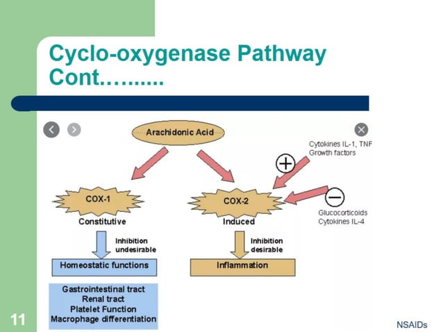 NSAIDs {Anti- Pyretic, Anti-inflammatory, and Analgesic} Pharmacology | PPT