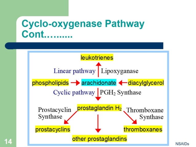 NSAIDs {Anti- Pyretic, Anti-inflammatory, and Analgesic} Pharmacology | PPT