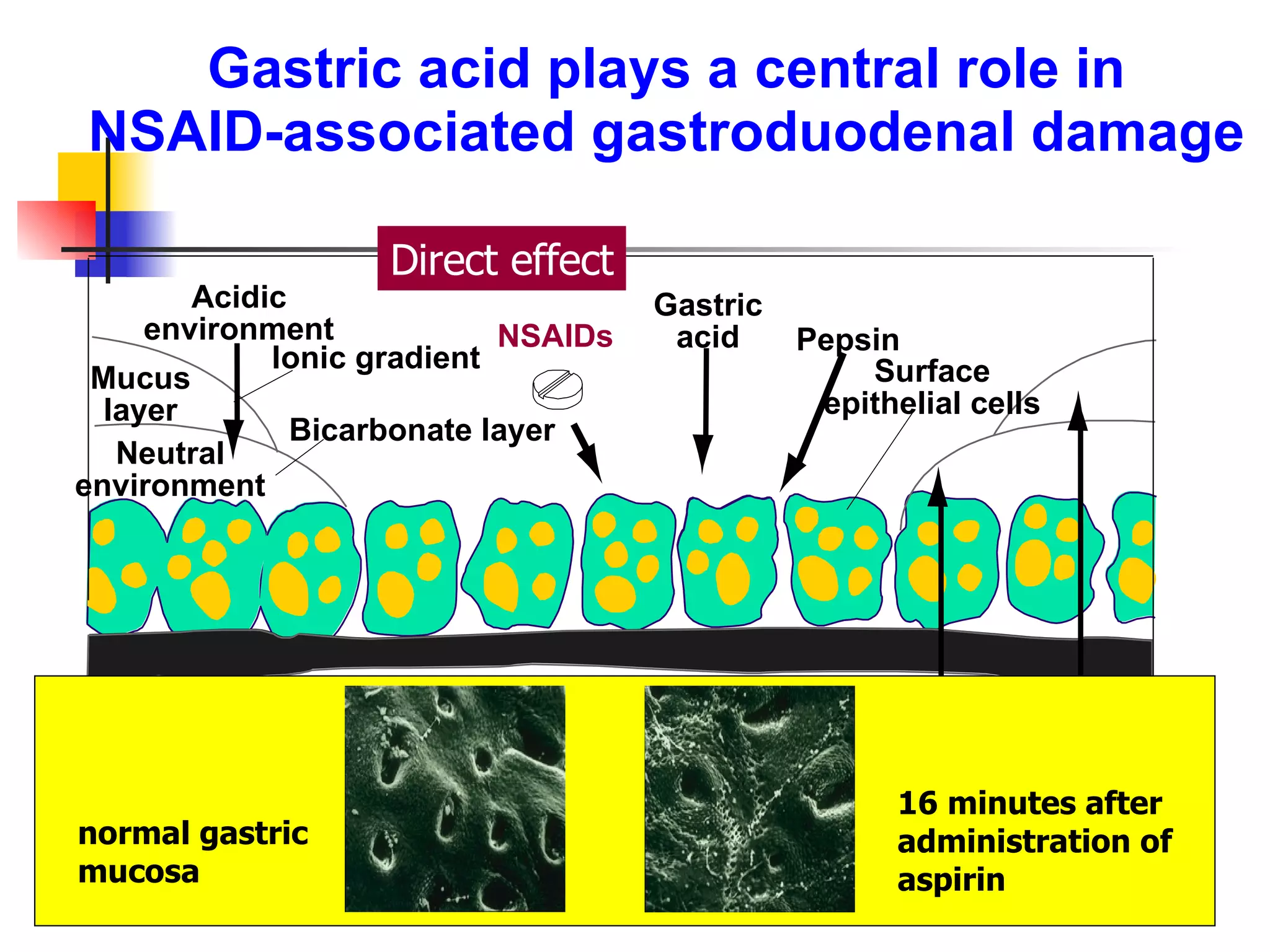 NSAIDs ASA GI protection | PPT