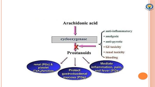 Introduction To Nsaids Final Ppt By Neha Tamta Pptx