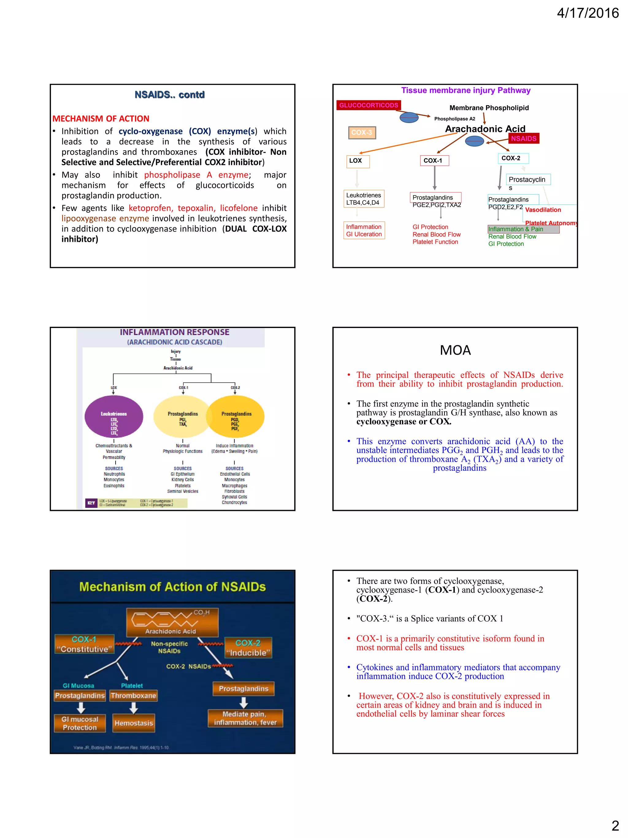Nsaids veterinary pharmacology | PDF | Genetics | Science