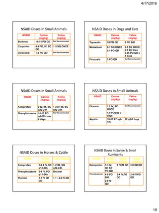 Nsaids veterinary pharmacology | PDF