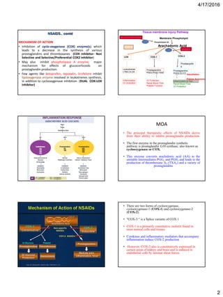 Nsaids veterinary pharmacology | PDF
