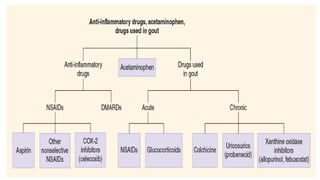 NSAIDs, Acetaminophen, & Drugs Used in Rheumatoid Arthritis & Gout.pptx