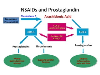 Nsaid Mechanism Of Action