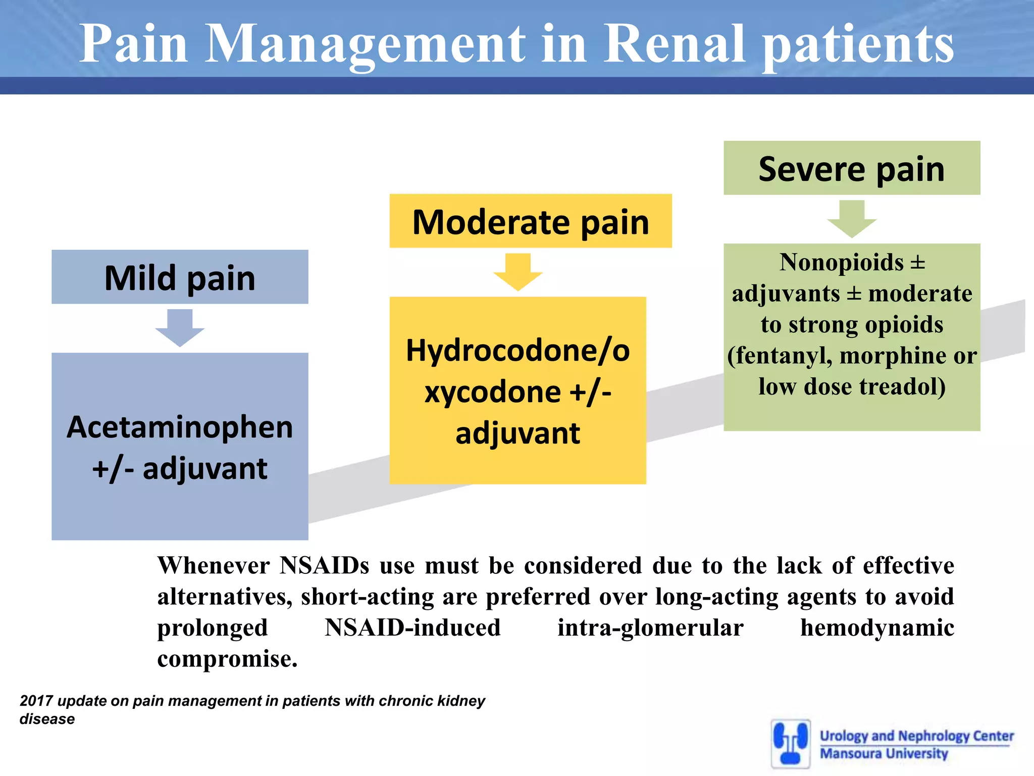 Non steroidal (NSAIDs) and the kidney ppt | PPTX