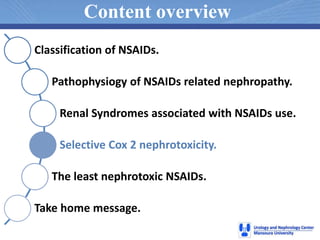 Non steroidal (NSAIDs) and the kidney ppt | PPTX