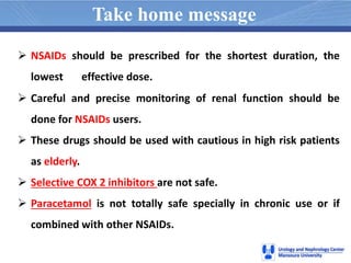 Non steroidal (NSAIDs) and the kidney ppt | PPTX