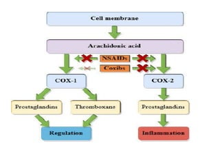 NSAIDs_Presentation_for_Nursing_Students copy.pptx