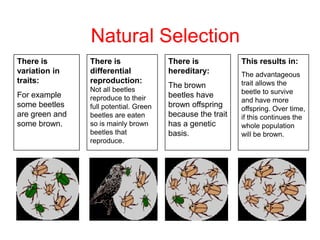 Ns and extiction2 | PPT