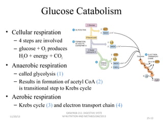 Cellular respiration (glycolysis, TCA and ETC) | PPT