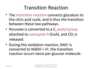 Cellular respiration (glycolysis, TCA and ETC) | PPT
