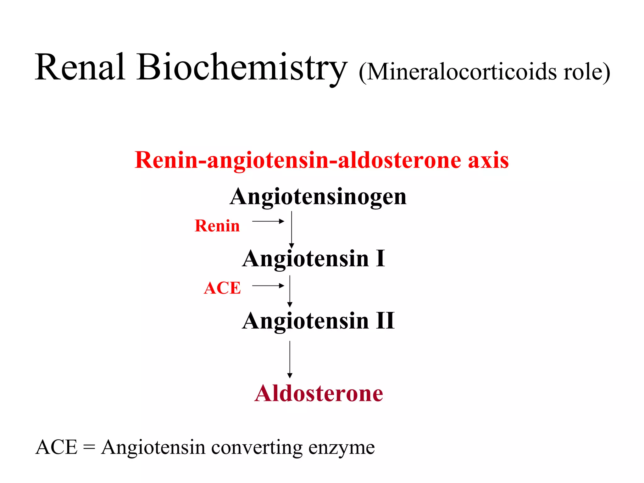 Mineralocorticoids & glucocorticoids | PPT
