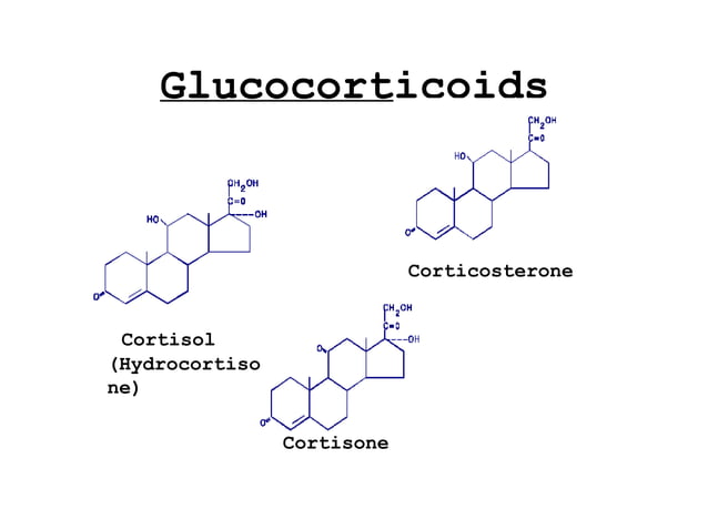 Mineralocorticoids & glucocorticoids | PPT