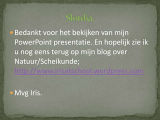 Ns PowerPoint | PPT