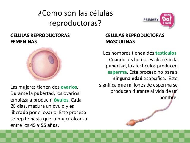 Natural Science Unit 3: Reproduction