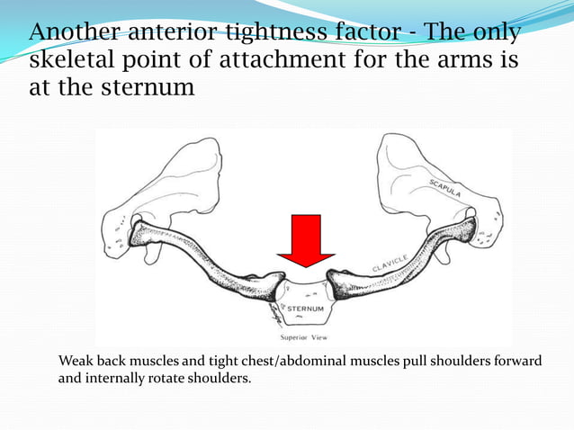 Nsca core and hip activation | PPT