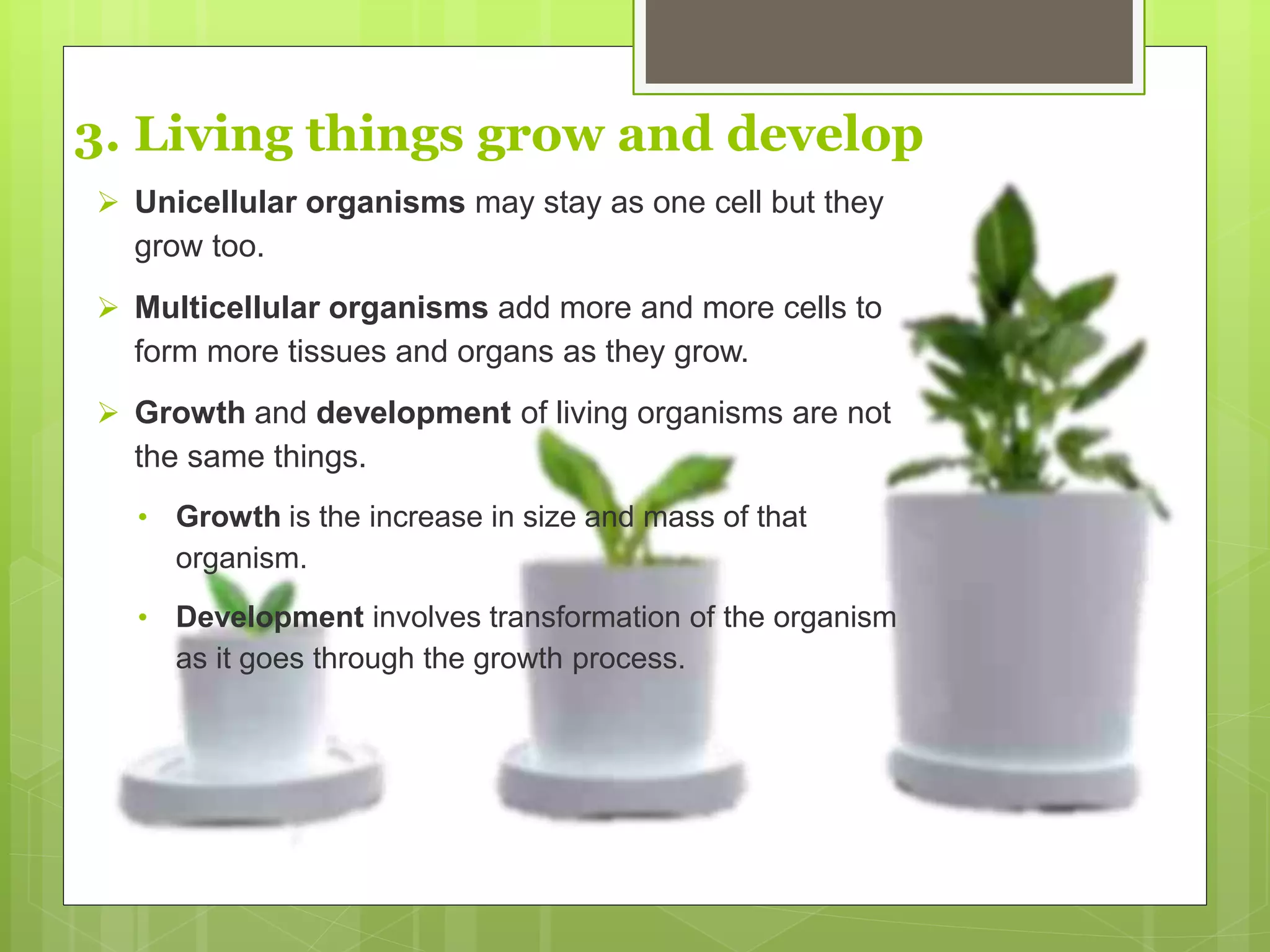 Introduction to Biology | PPTX