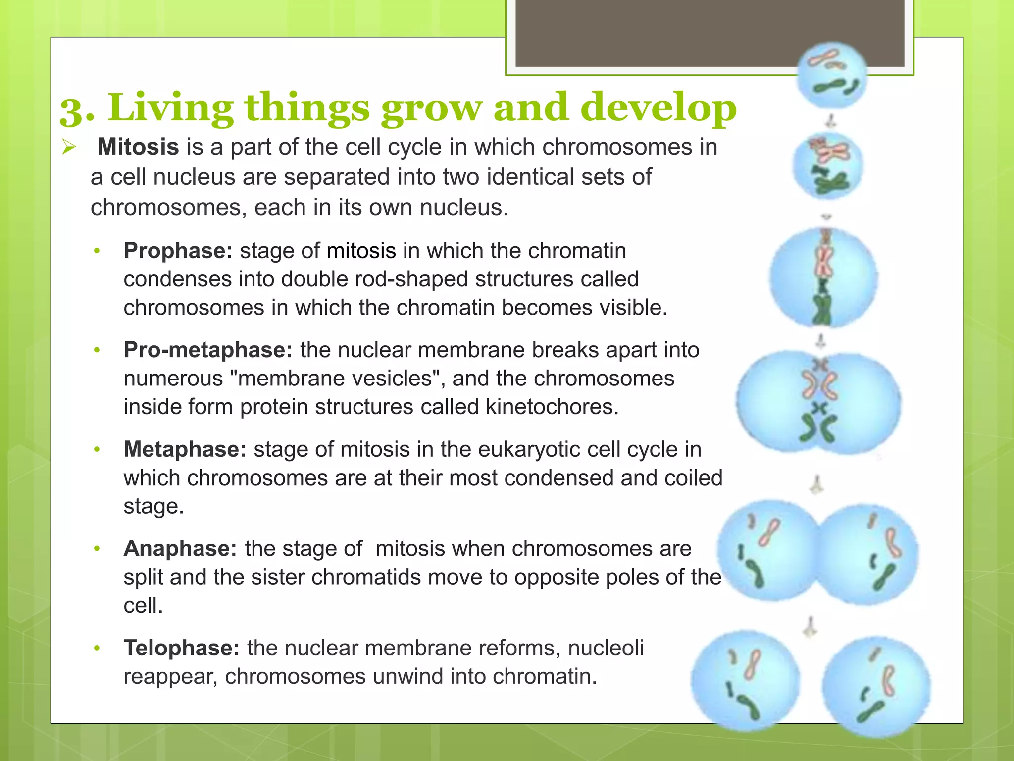 Introduction to Biology | PPTX