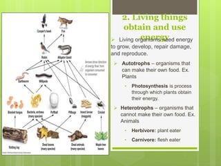 Introduction to Biology | PPTX