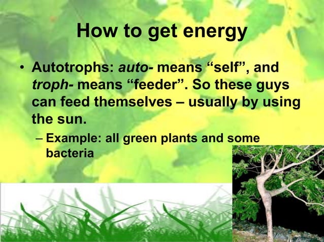 Nscu 302 wk 1 2 | PPT